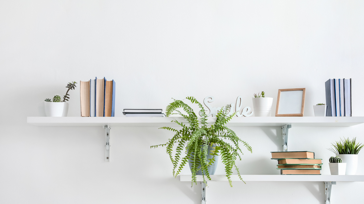 Hanging Wall Shelves: Types, Installation, and Styling Tips – Woodsnap